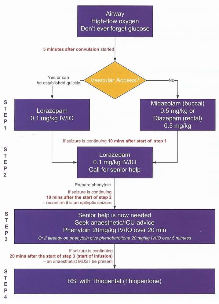 Chapter 2 – Status Epilepticus | Paediatric Emergencies